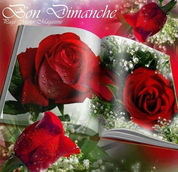 bon dimanche - Page 12