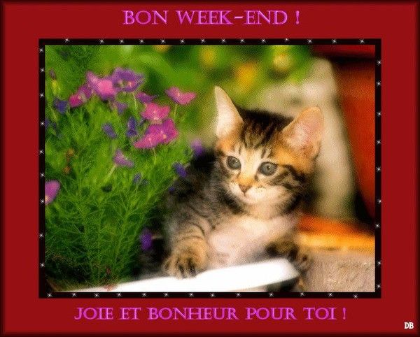BON WEEK END