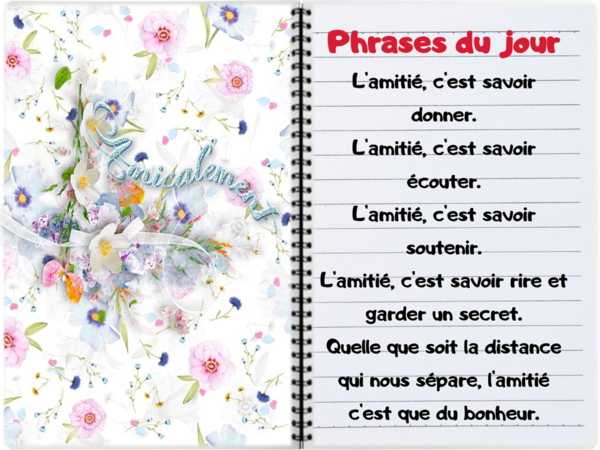LES PHRASESDU JOUR