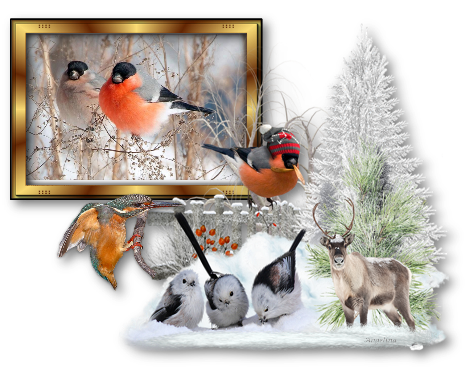 LES OISEAUX EN HIVER