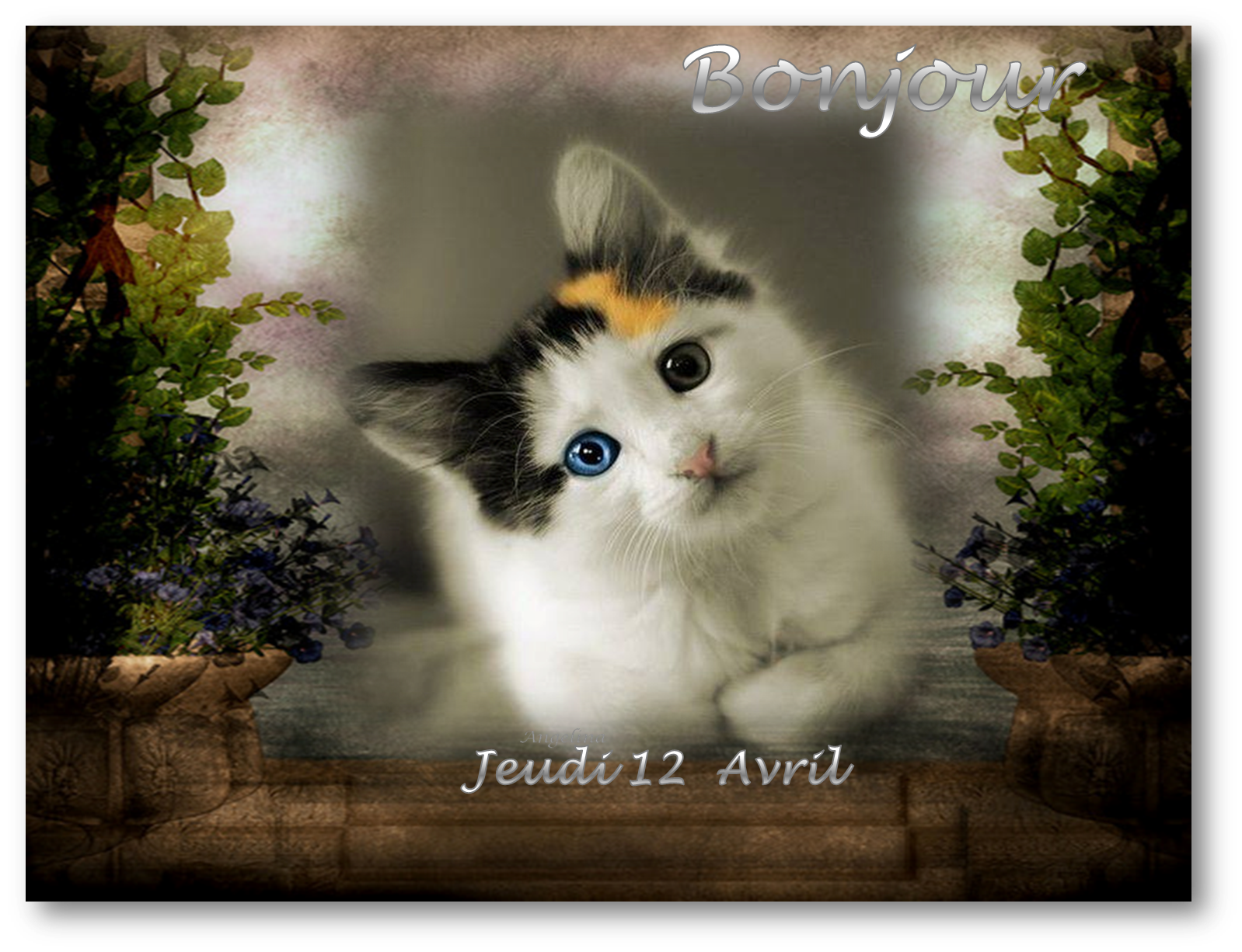 Bonjour